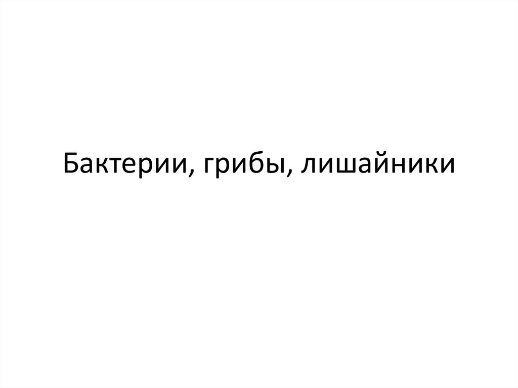 Бактерии грибы лишайники презентация онлайн