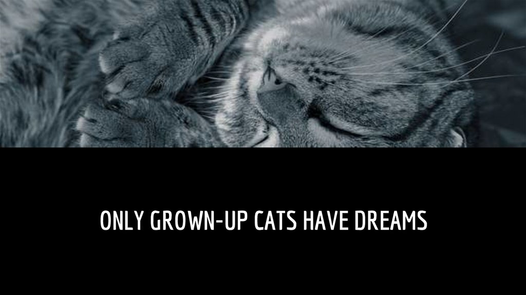 True and false cat facts - презентация онлайн