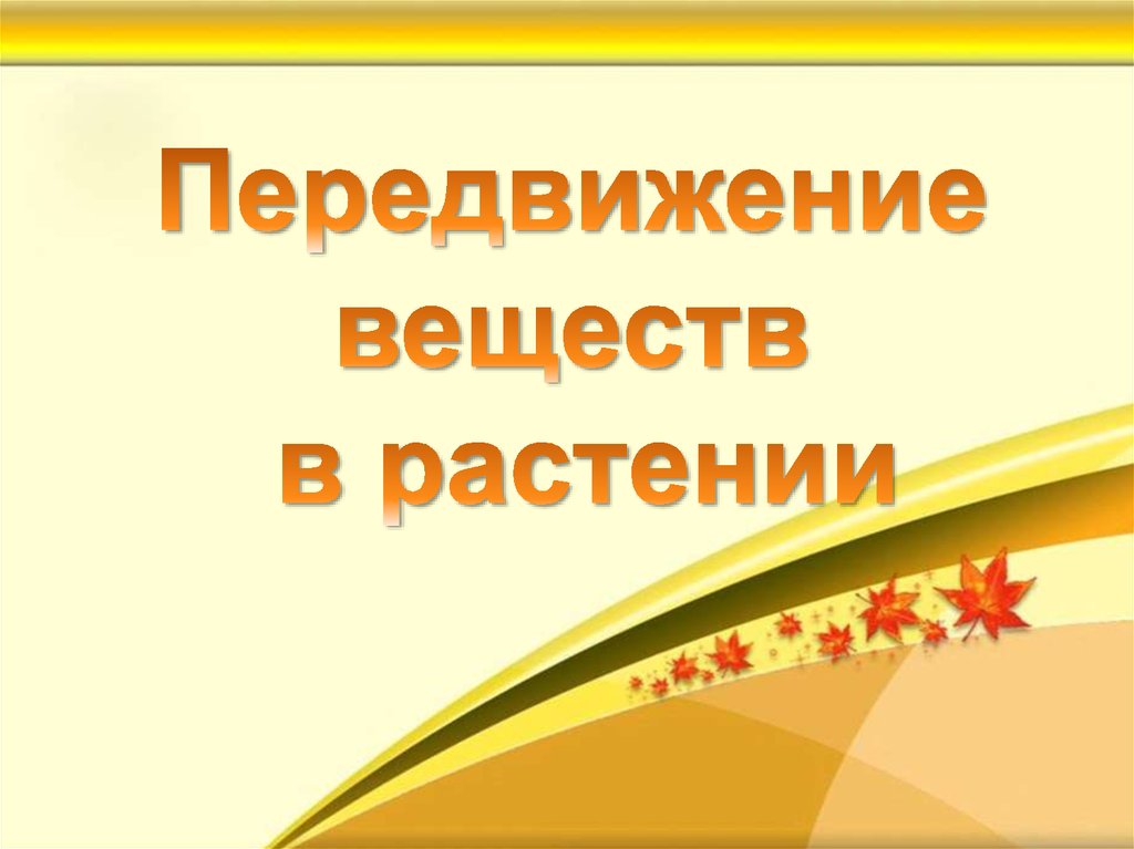 Передвижение веществ в растении презентация онлайн