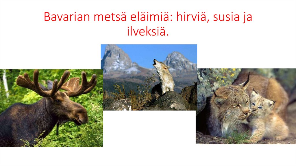 Saksa on suurin maa Euroopassa - презентация онлайн