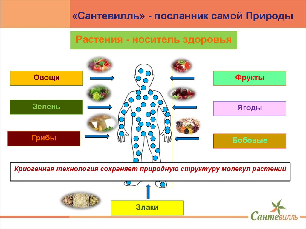 «Сантевилль» в сотрудничестве с природой и согласии с медициной ...