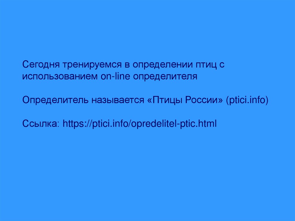 Определитель «Птицы России» - презентация онлайн
